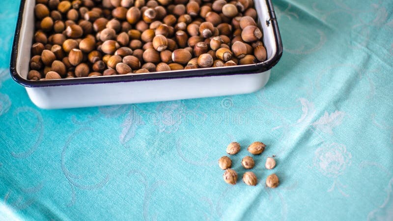 Hazelnuts in the White Containers on the Blue Table Stock Image - Image ...