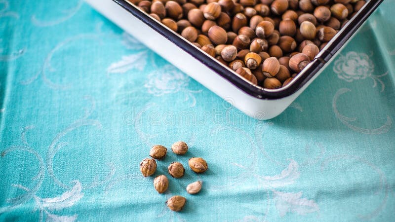 Hazelnuts in the White Containers on the Blue Table Stock Photo - Image ...