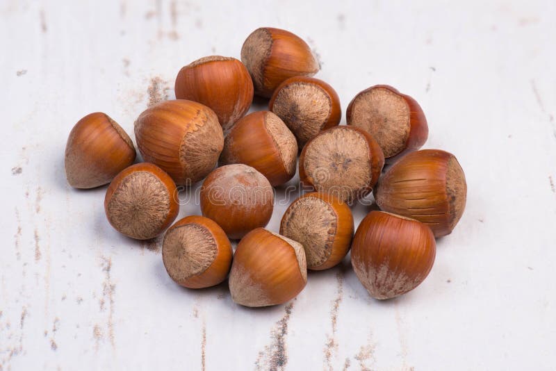 Hazelnuts on a White Textured Background Stock Photo - Image of empty ...