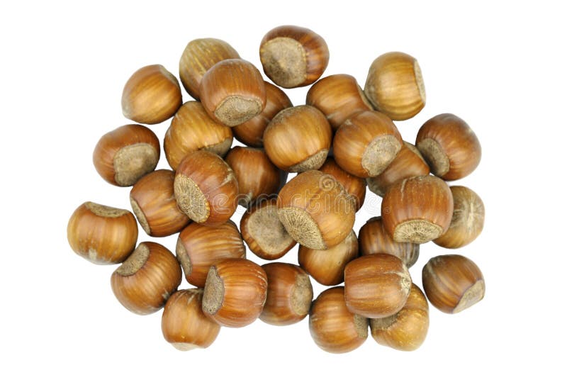 Hazelnuts stock photo. Image of healthy, edible, brown - 66790812