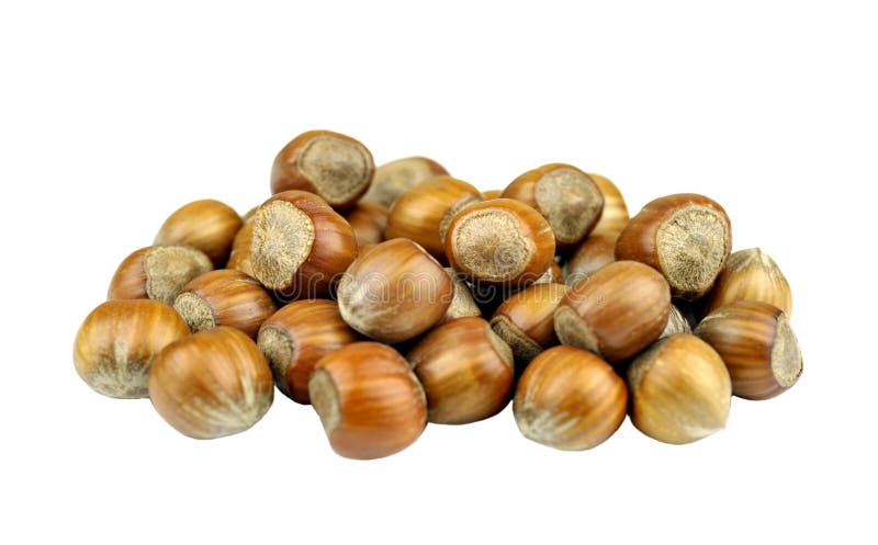 Hazelnuts stock image. Image of edible, brown, hazelnuts - 66790861