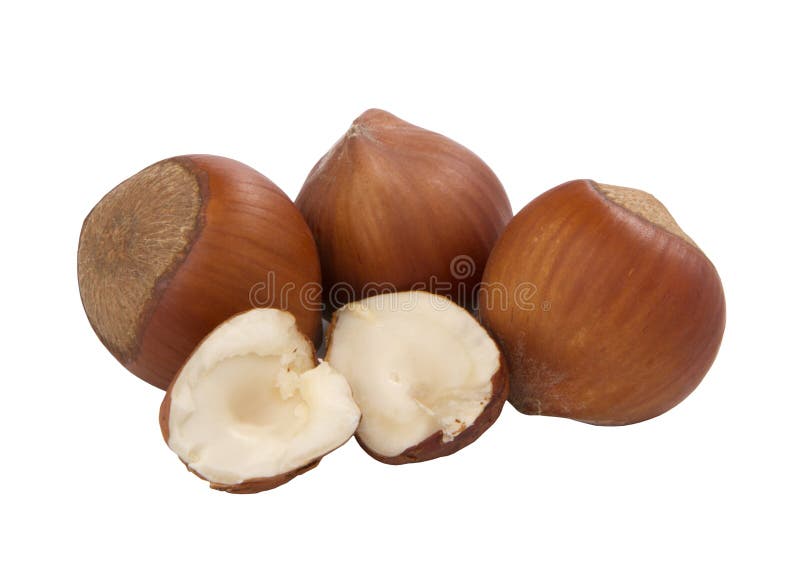 Hazelnuts, Whole and Unshelled Stock Image - Image of isolated, open ...