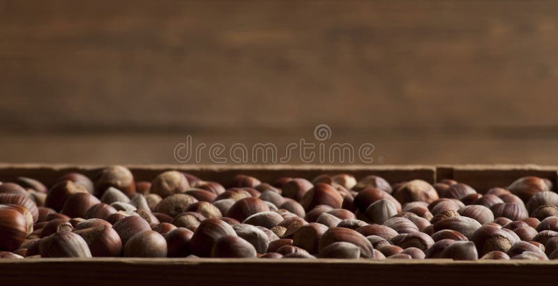 Hazelnuts in wooden box stock image. Image of large, studio - 46950789