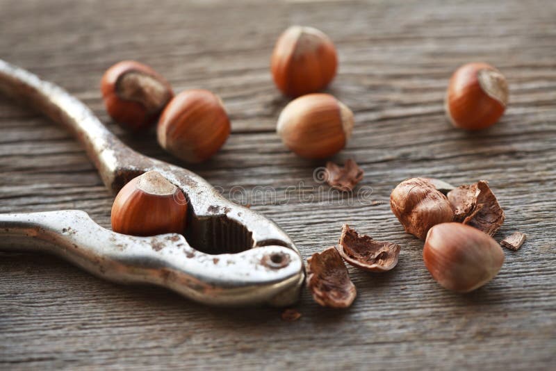 Hazelnuts on a Wooden Table Stock Photo - Image of nutrition, hazel ...