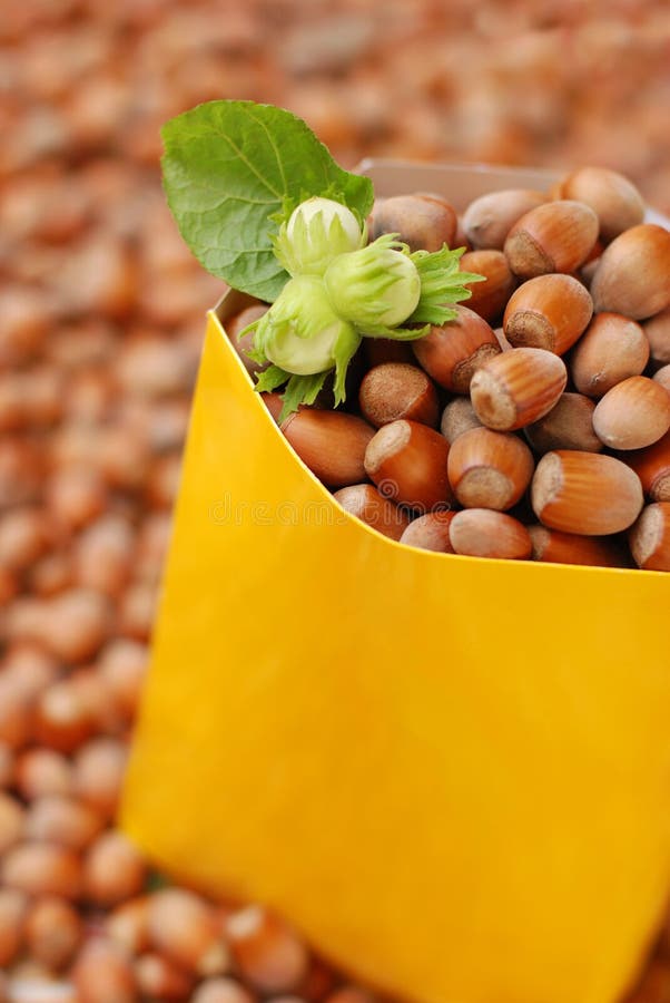 Hazelnuts in Yellow Package Stock Image - Image of food, fruit: 10703001
