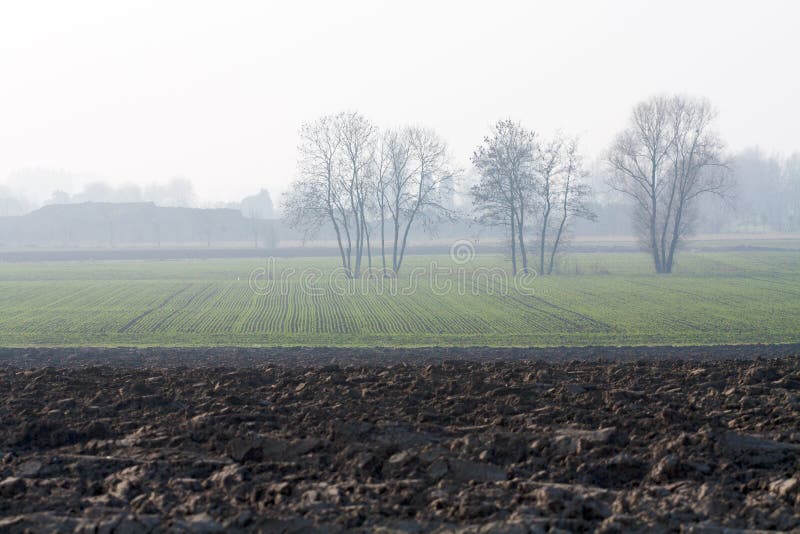 Hazy countryside stock photo. Image of ground, grey, early - 22653572