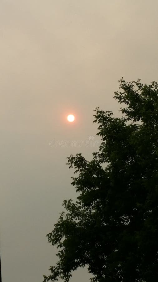 Hazy days stock photo. Image of hazy, tree, distort, haze - 69483388