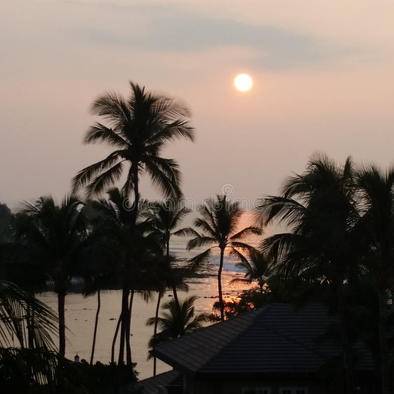 Hazy Hawaiian Sunset with Palm Trees Stock Photo - Image of sunset ...