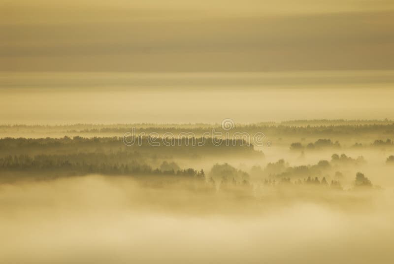 Hazy Morning stock image. Image of reflection, brush, haze - 692475