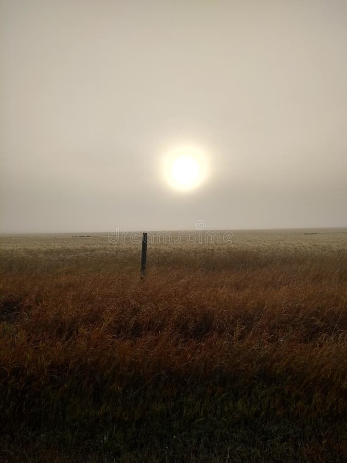 Hazy Morning stock image. Image of morning, risen, field - 136337589