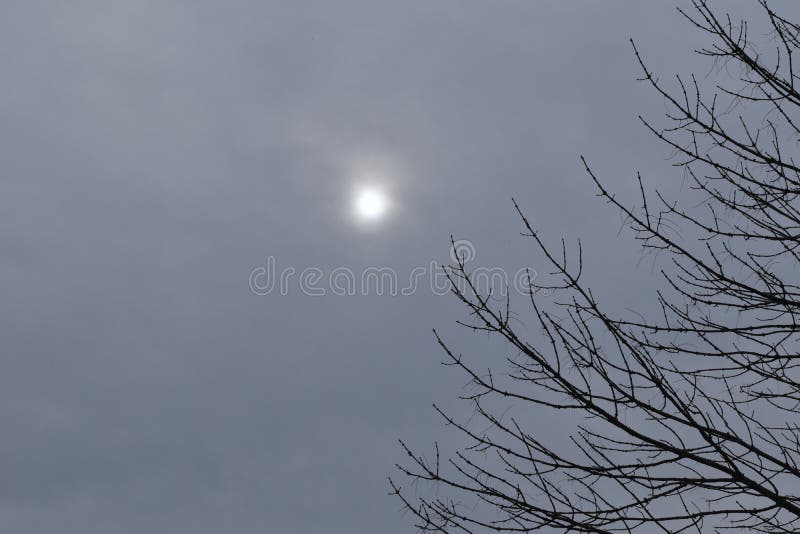 Hazy Sun through Overcast Sky with Bare Branches of a Tree. Stock Image ...