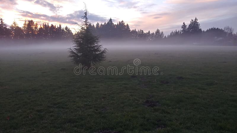 Hazy sunset stock photo. Image of nature, outside, sunset - 144657442