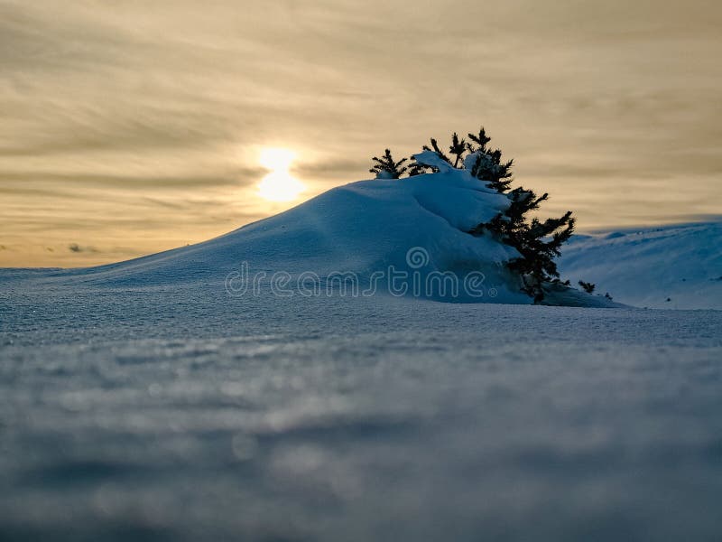 Hazy Sunset Over Snow-covered Ground Stock Photo - Image of horizon ...