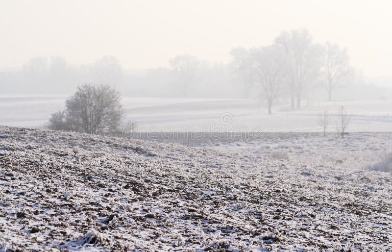 Hazy winter landscape stock image. Image of season, tree - 15825109