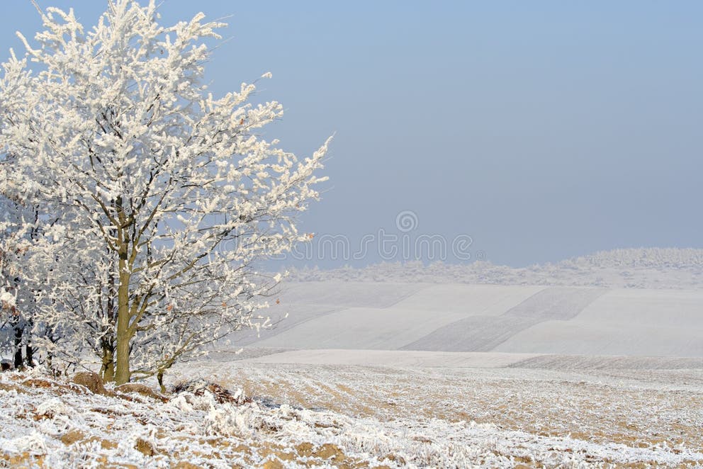Hazy winter landscape stock photo. Image of field, hazy - 25405196
