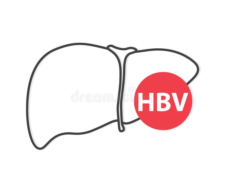 HBV Hepatitis B Virus and Liver Outline Stock Vector - Illustration of ...