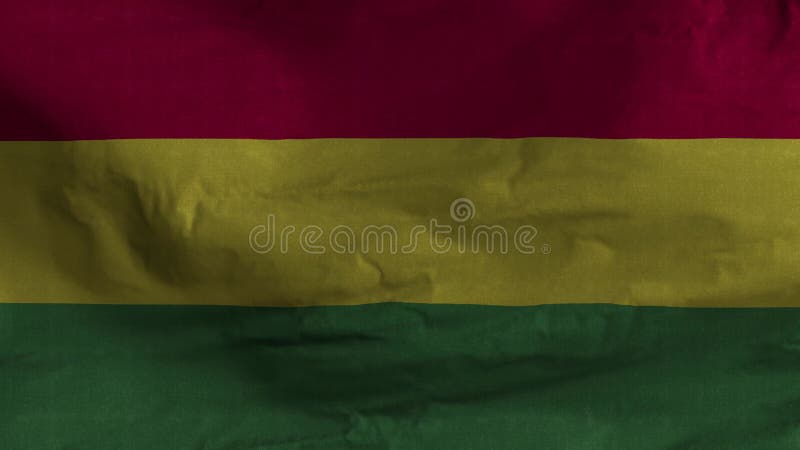 HD of the Bolivian flag stock footage. Video of design - 255912220