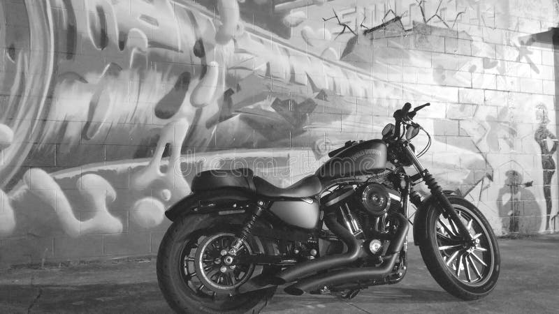 HD883 Graffiti editorial image. Image of graffiti, harley - 56706890