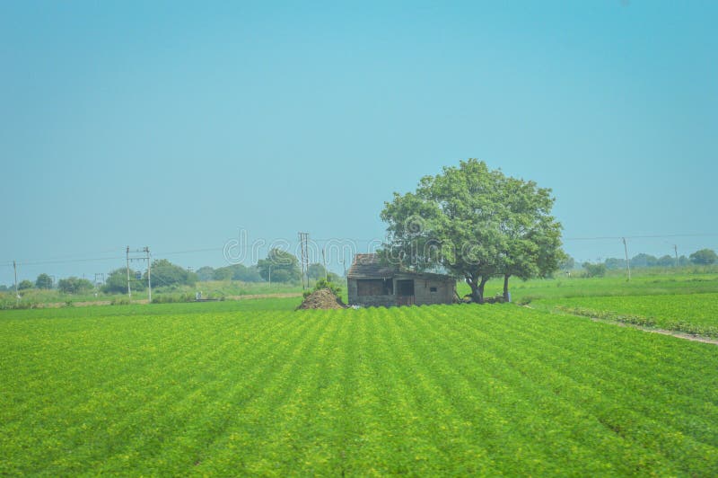 HDR Farm Village Tree House Stock Image - Image of farm, beautiful ...