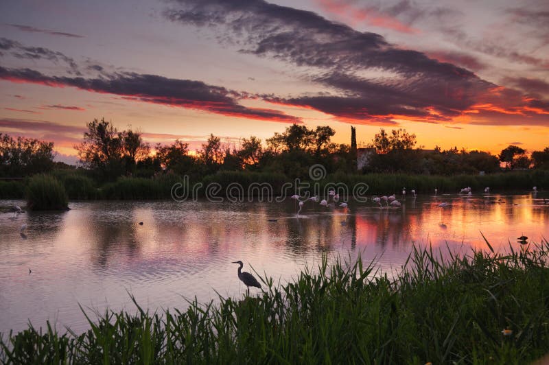 HDR Image of Lagoon at Sunset Stock Image - Image of greater, pond ...