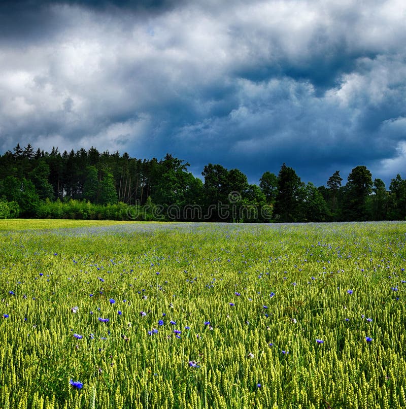 HDR lanscape stock photo. Image of natural, panorama - 42439152
