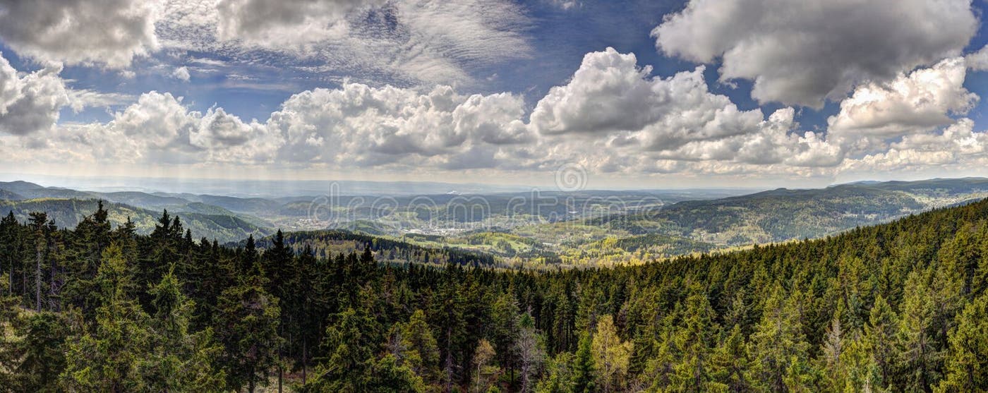 13,238 Hdr Forest Stock Photos - Free & Royalty-Free Stock Photos from ...