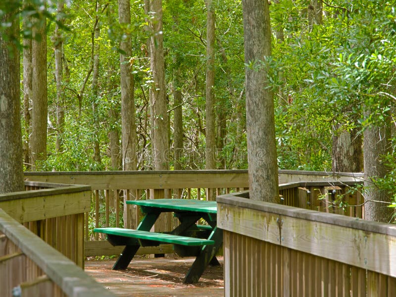 HDR Picnic Table in the Forest Stock Image - Image of nature, park ...