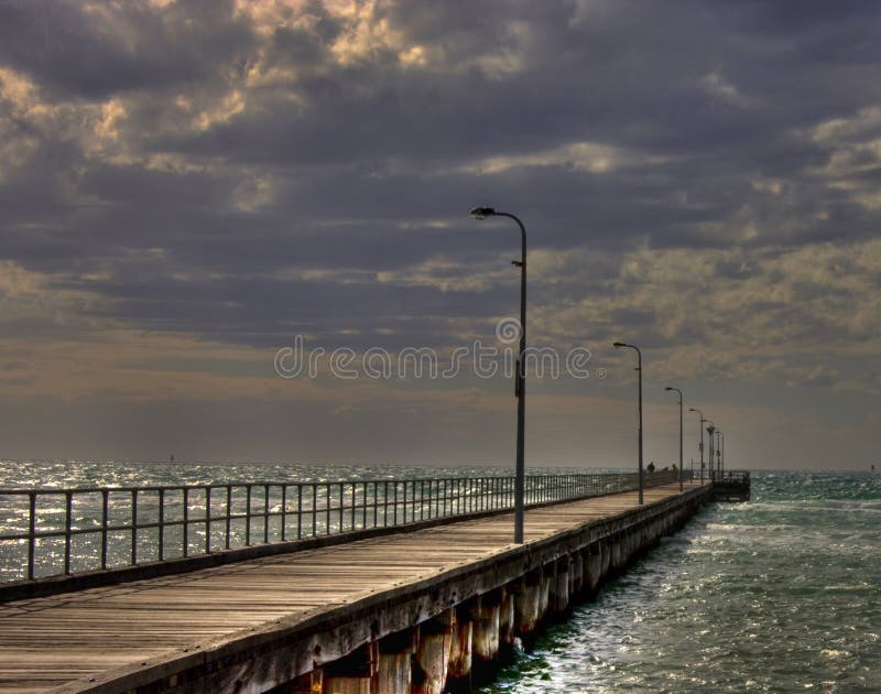 Rosebud stock photo. Image of healthy, beautiful, lifestyle - 1212072