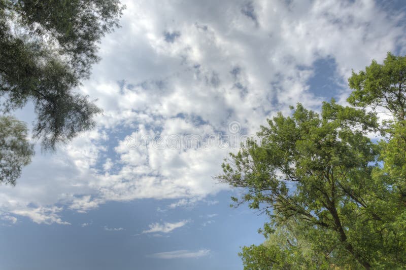 HDR Sky with Tree Leafs on the Sides Stock Photo - Image of autumn ...