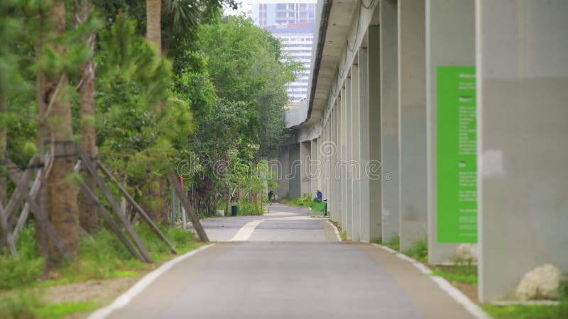 HDR Video Miami M Path the Underline 4k Stock Video - Video of ...