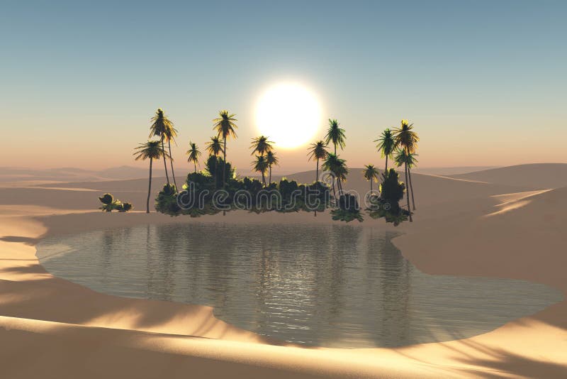 HDRI, environment map stock image. Image of nature, dusk - 98992367