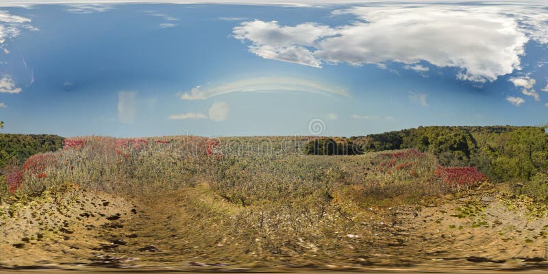 HDRI of Landscape, Panoramic Image for HDRI Application Stock ...