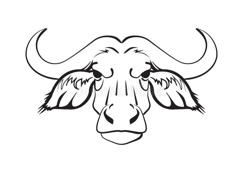 Buffalo Head Front Stock Illustrations – 667 Buffalo Head Front Stock ...