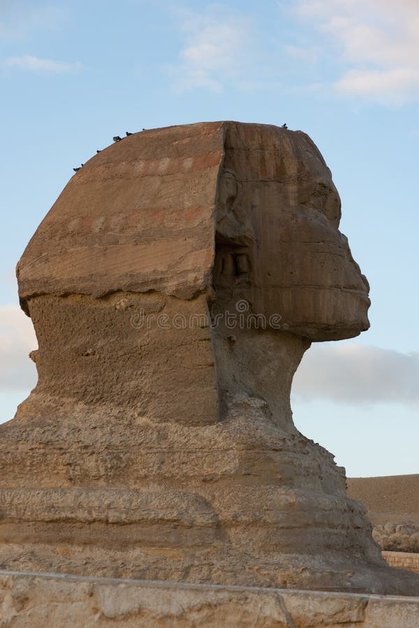 Head of Sphinx in Giza Pyramid Complex Also Called the Giza Necropolis ...