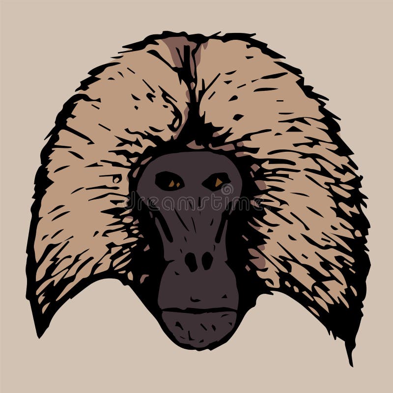 Gelada Vector Art Stock Illustrations – 16 Gelada Vector Art Stock ...
