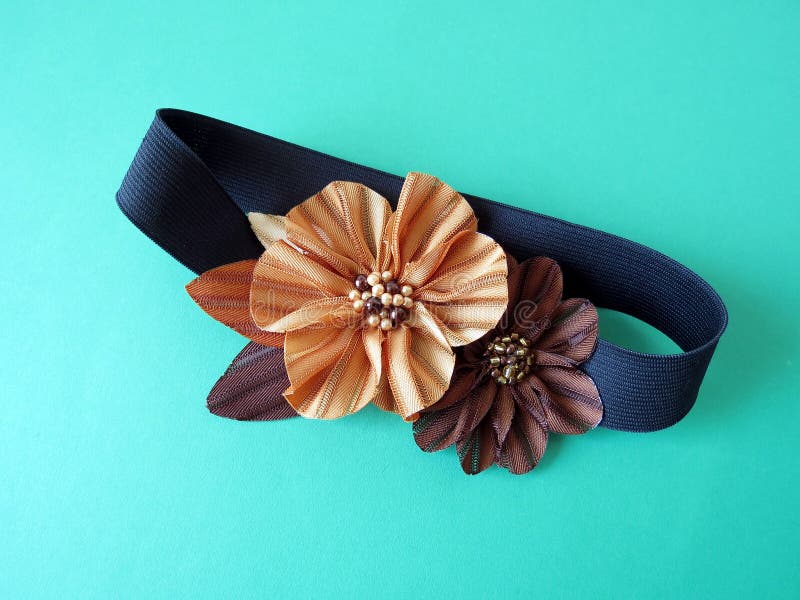 Head band stock photo. Image of flowers, band, view, macro - 31416442