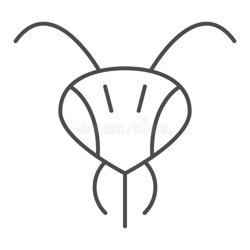 Honeybee Head Stock Illustrations – 146 Honeybee Head Stock ...