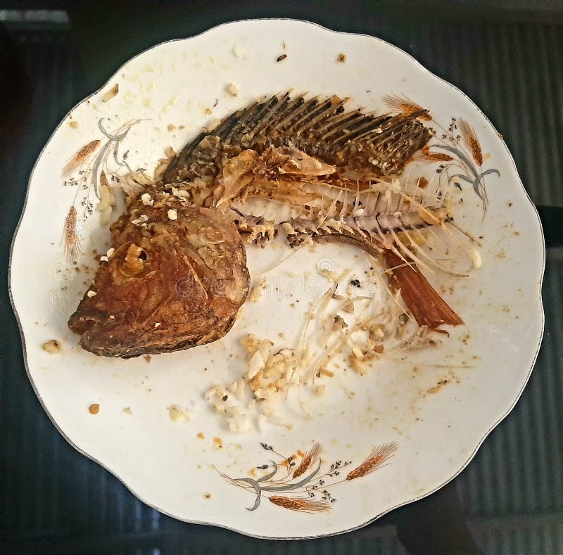 Head Bone Fish on the Plate Stock Image - Image of food, plate: 252924827