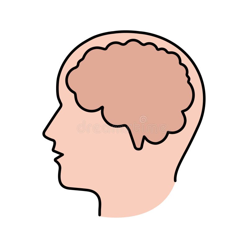 Head, Brain, Human Head Icon Stock Vector - Illustration of mind, think ...