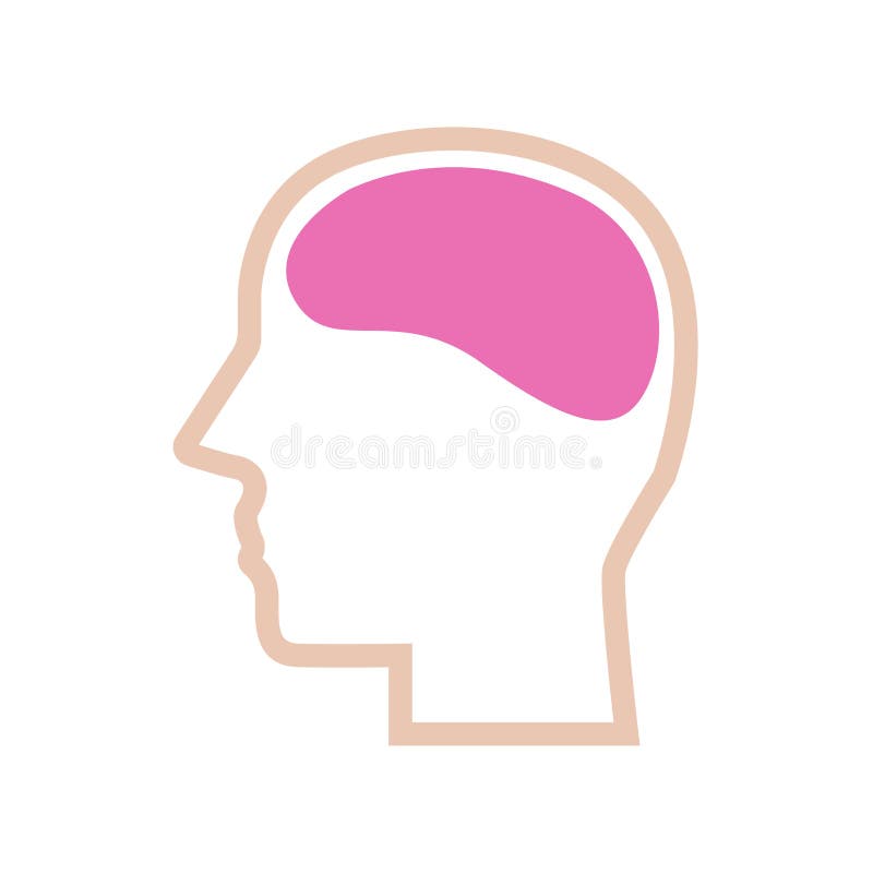 Head and Brain Icon on a White Background, Vector Illustration Stock ...