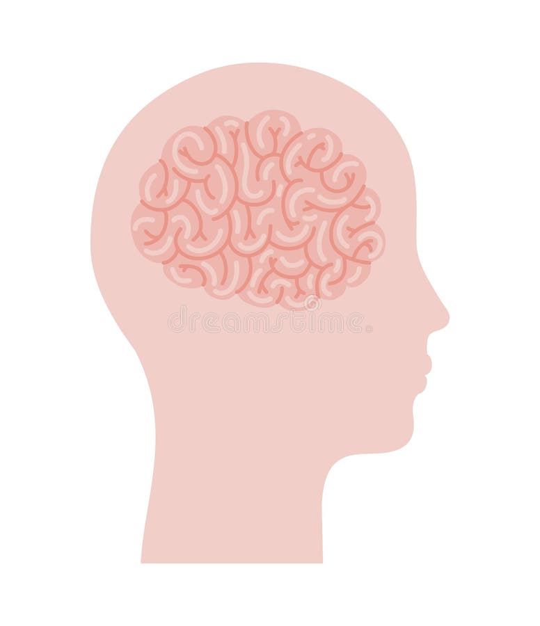 Head and brain silhouette stock vector. Illustration of head - 227250659