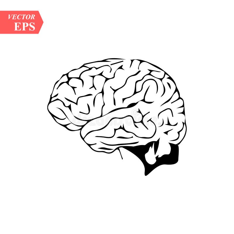 Head with Brain Vector Icon EPS10. Simple Isolated Silhouette Symbol ...