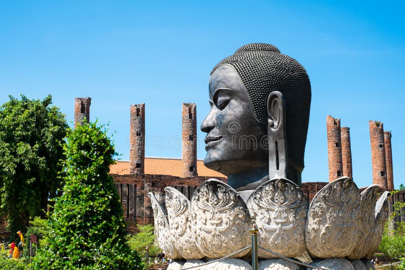 Trope Design Stock Photos - Free & Royalty-Free Stock Photos from ...