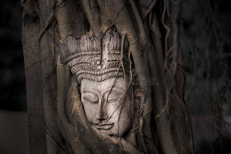 Head of Buddha in the Tree Root Stock Image - Image of antique ...