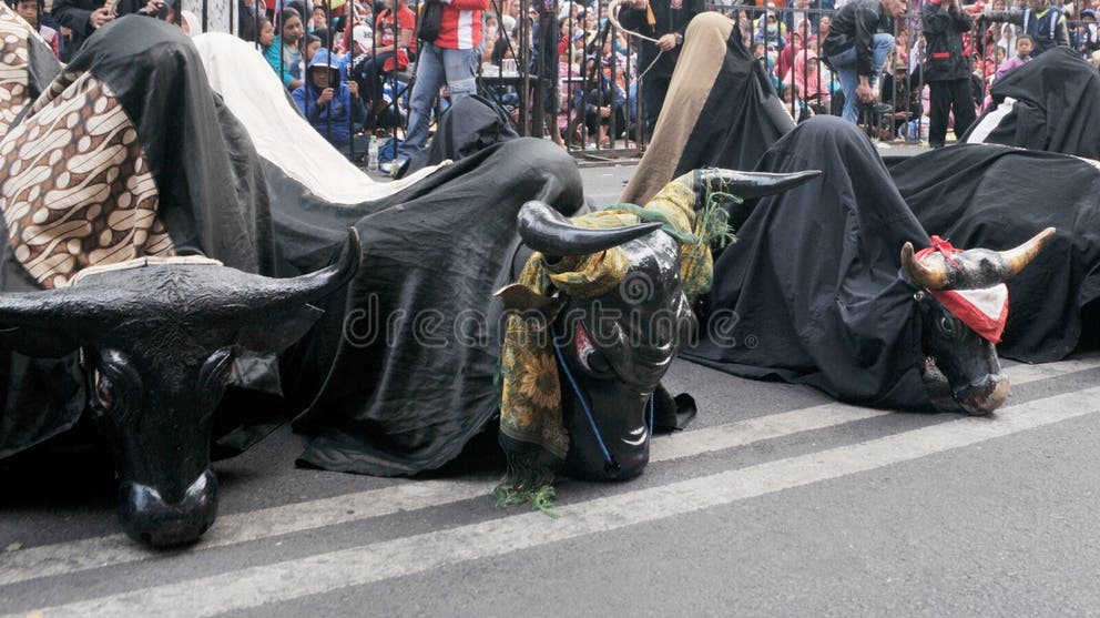 The Head of the Bull in the Art of Bull Dance from Indonesia Stock ...