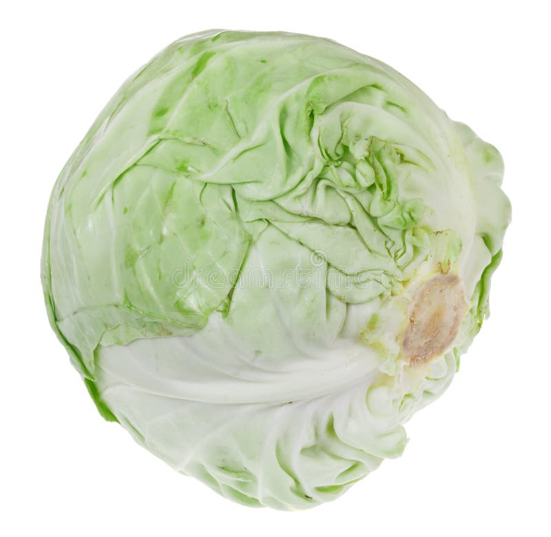 Head of cabbage stock photo. Image of loaf, food, fresh - 32437464