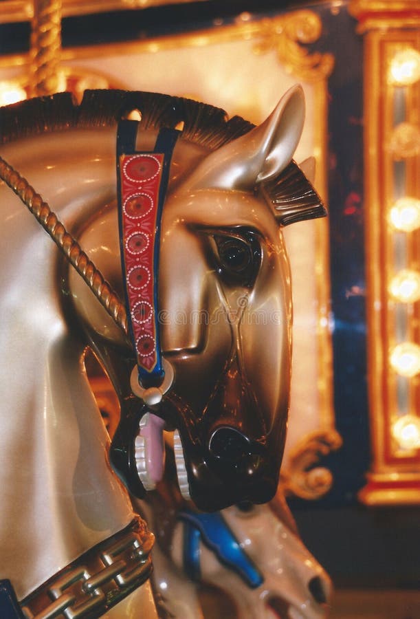 Carousel horse head stock image. Image of equus, play, horse - 928031