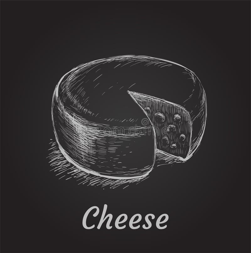 Head of Cheese Hand Drawn Vector Illustration Stock Vector ...