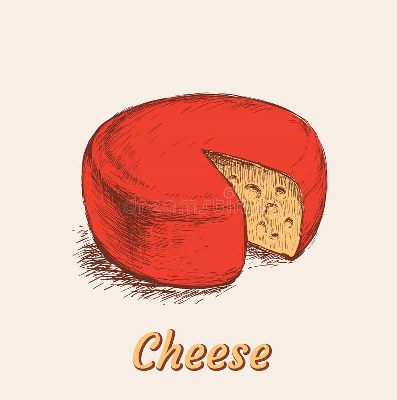 Cheese Hand Drawn Vector Illustrations Collection. Chalk Emmental Stock ...
