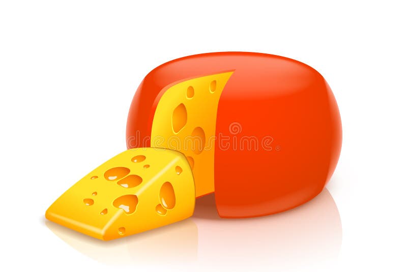 A Head of Cheese and a Sliced Piece Hand Drawn Sketch Vector ...
